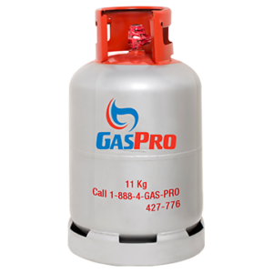 Shop Home – Gas Pro Jamaica